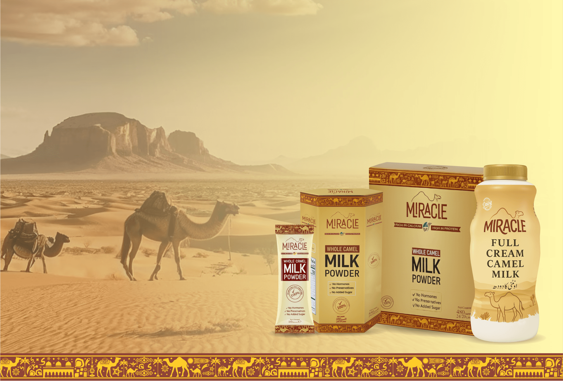 Miracle Camel Milk | Pure & Fresh Camel Milk in Pakistan